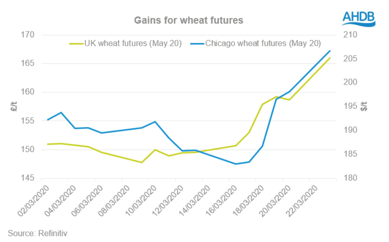 Food prices are going to rise without rationing and price controls