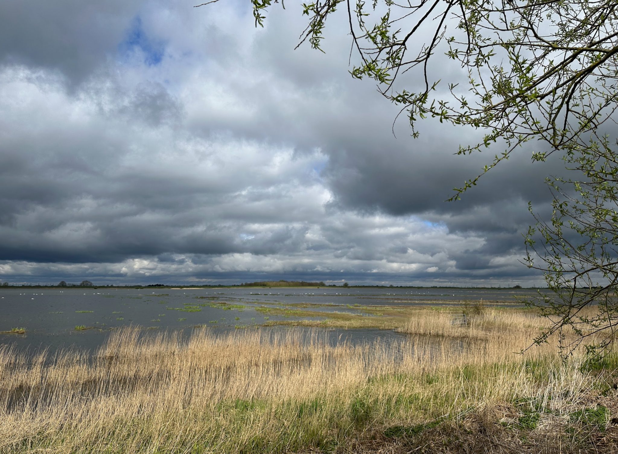 Norfolk sky